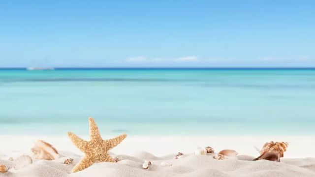 You Must Know About These Top 5 Most Beautiful Beaches in Tamarac ...